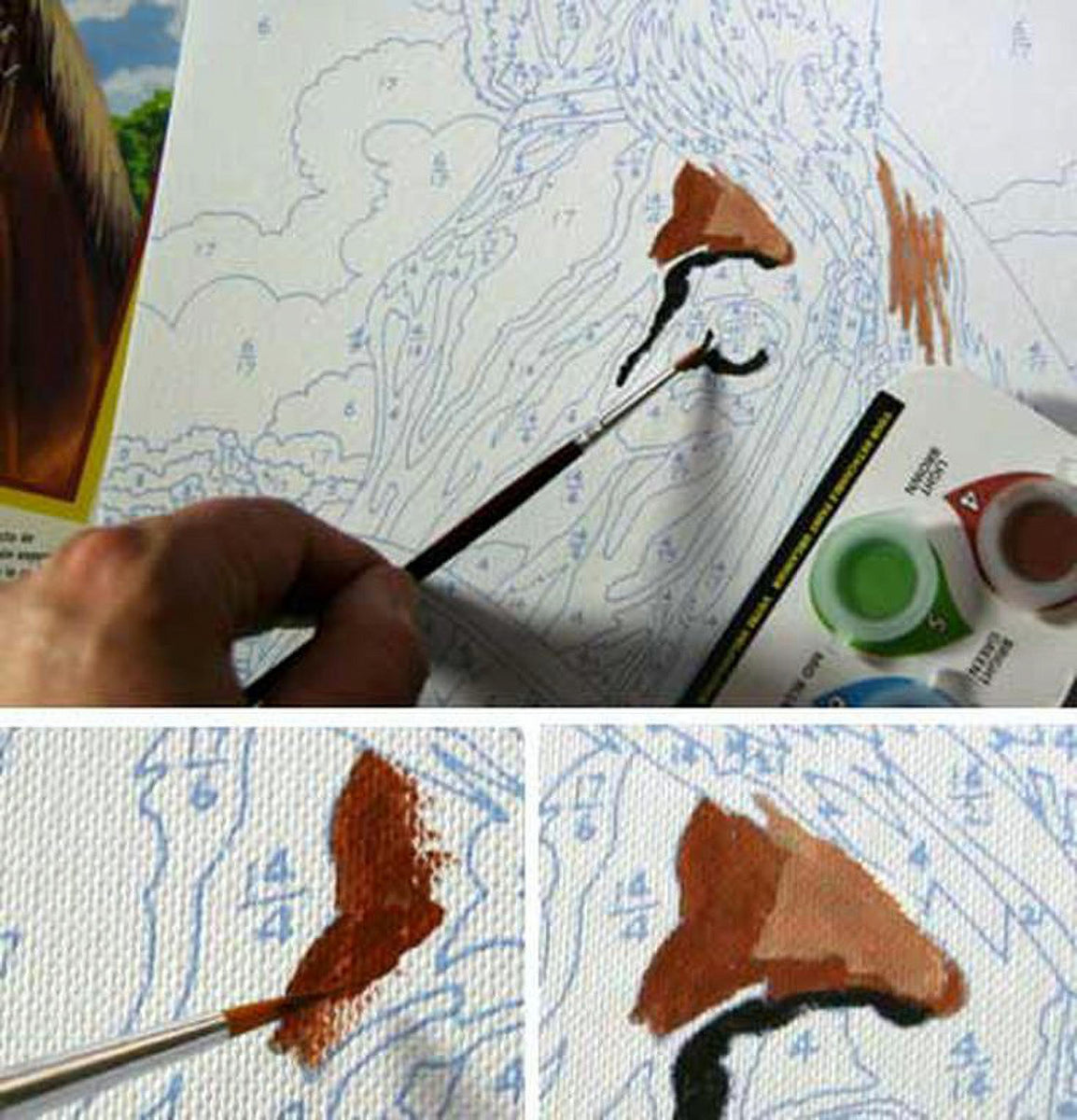 Free Package How to Do Paint by Number Art Kits on Canvas?